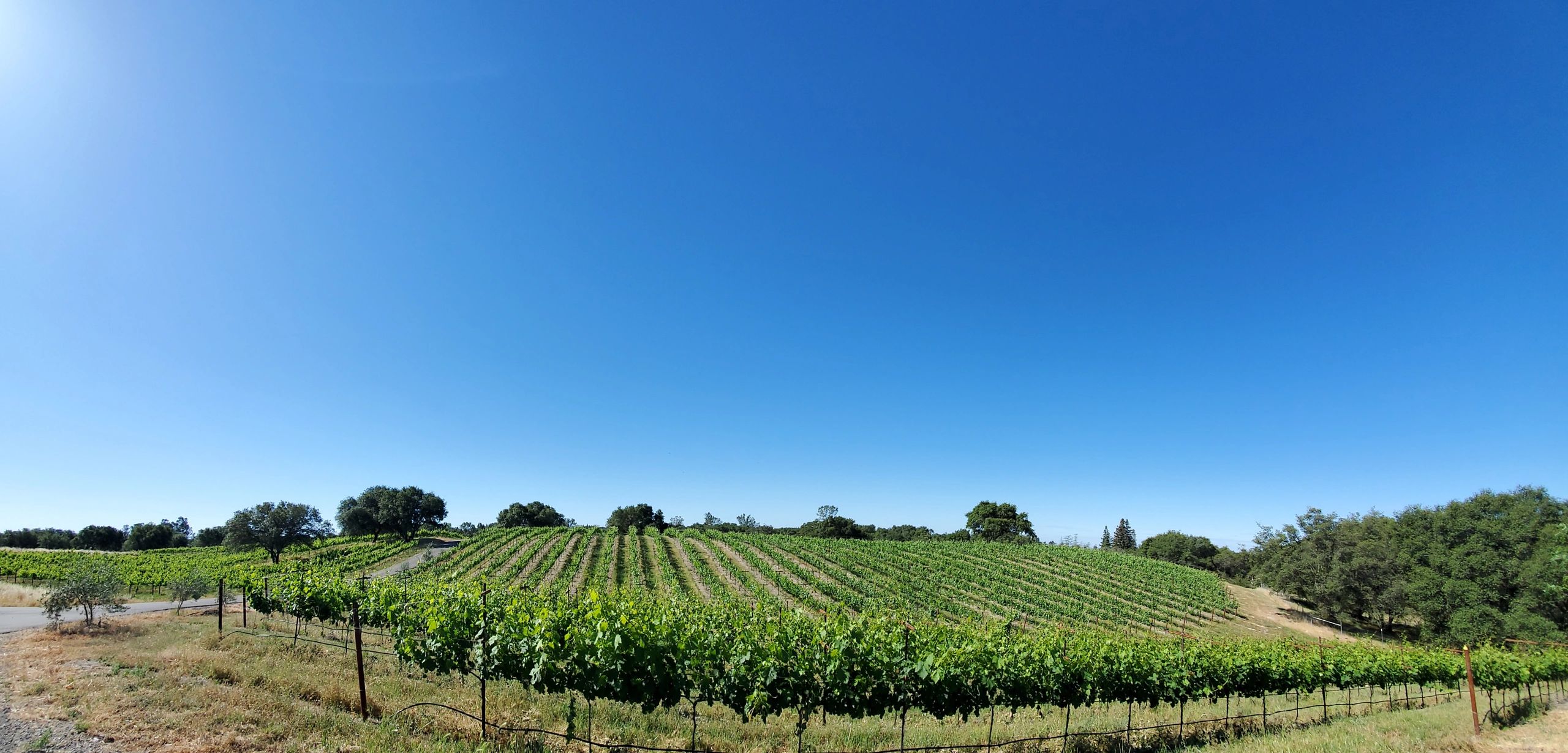 Twin Rocks Estate Winery