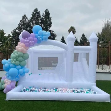 Birthday Party Bouncy Castle Rentals, Party Supply Rentals, Party ...