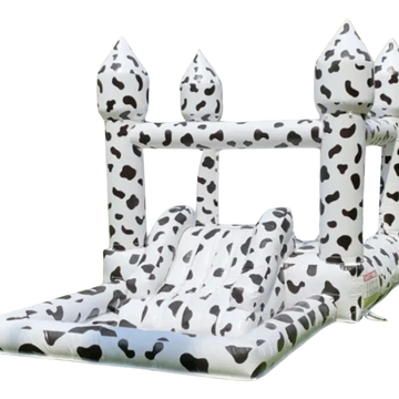 Birthday Party Bouncy Castle Rentals, Party Supply Rentals, Party ...