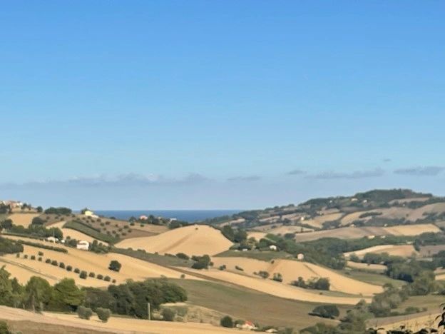 MONTE DIVINO – IL PROGETTO – THE PROJECT - EPISODE VII