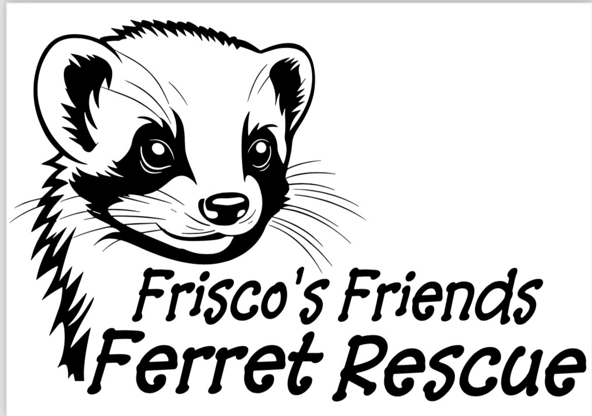 Texas Ferret Rescue | Frisco's Friends Ferret Sanctuary