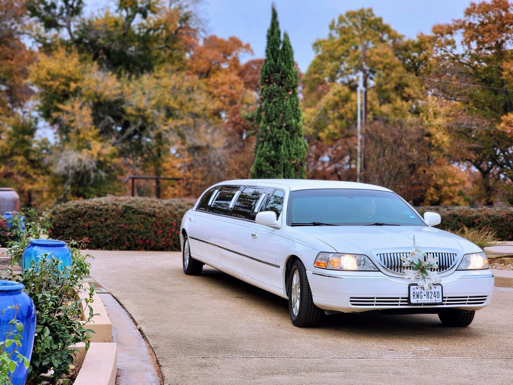 Limousine Service by Lady Limo EXParis - Book Now!