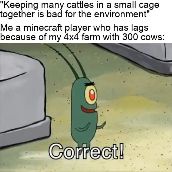 A Bug-tastic Adventure: Insects That I have Actually Eaten - ToasterDing