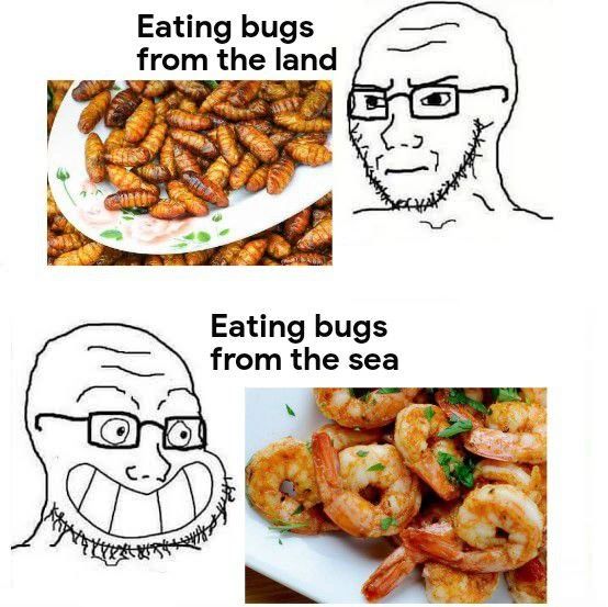 A Bug-tastic Adventure: Insects That I have Actually Eaten - ToasterDing