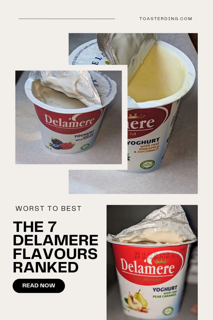 All 7 Delamere Yoghurt Flavors Ranked; Worst to Best - ToasterDing