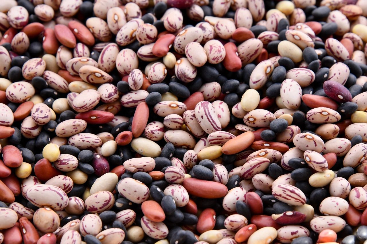 Rosecoco Beans in Kenya: All You Need to Know - ToasterDing