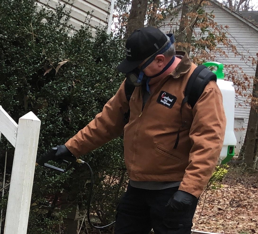 Cardinal Pest Management
