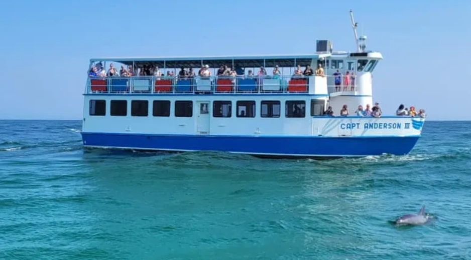 Shell Island Dolphin Tours