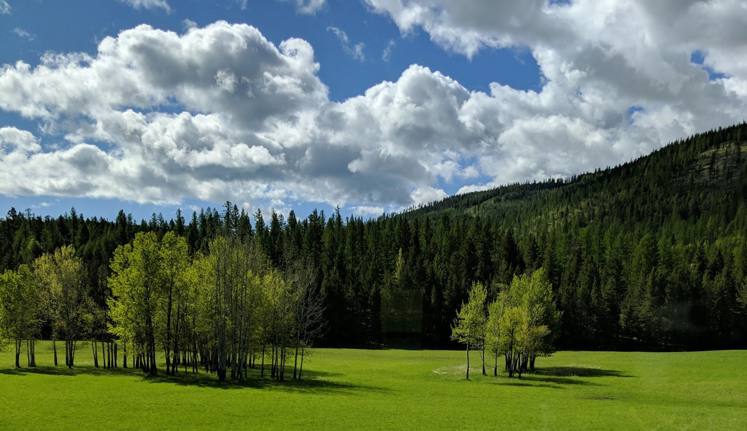 Wise Land Management LLC