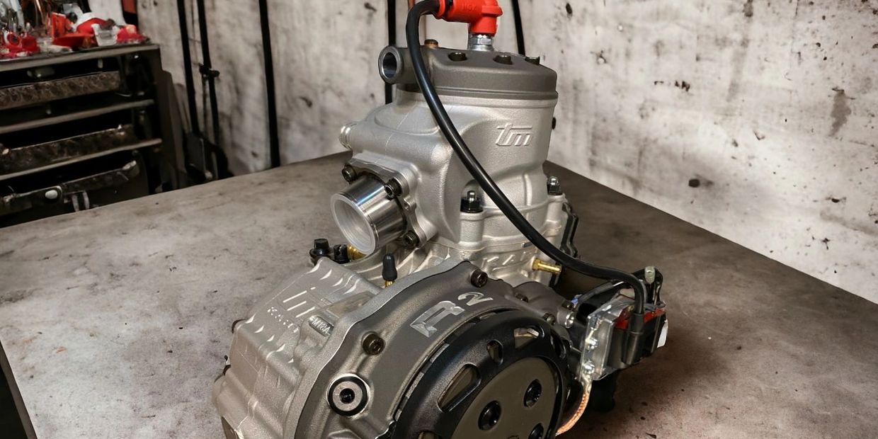 eShifter Kart - Tm R2 Black Engine, Shifter Kart Engines