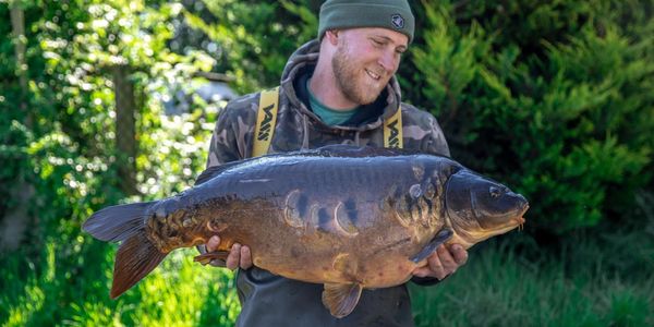 surrey carp particles