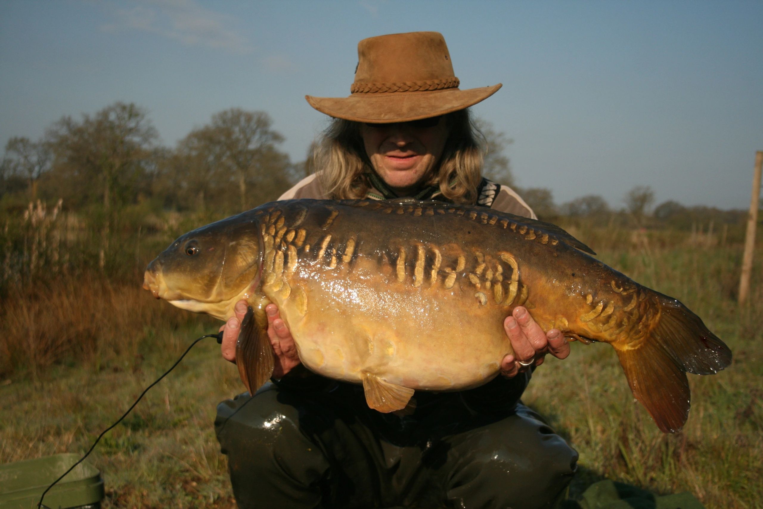 surrey carp particles