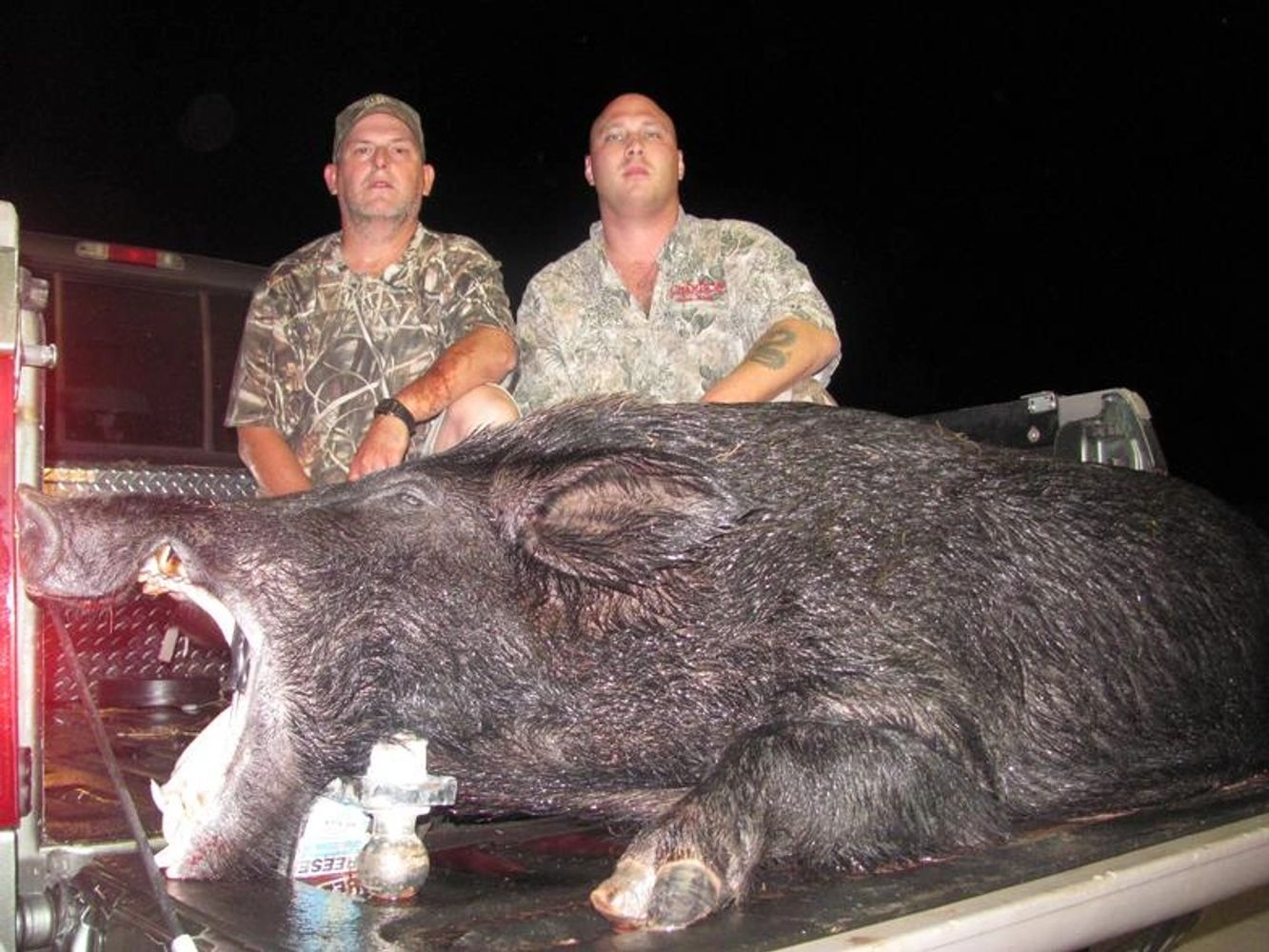Unlimited Wild Hog Hunting in Texas