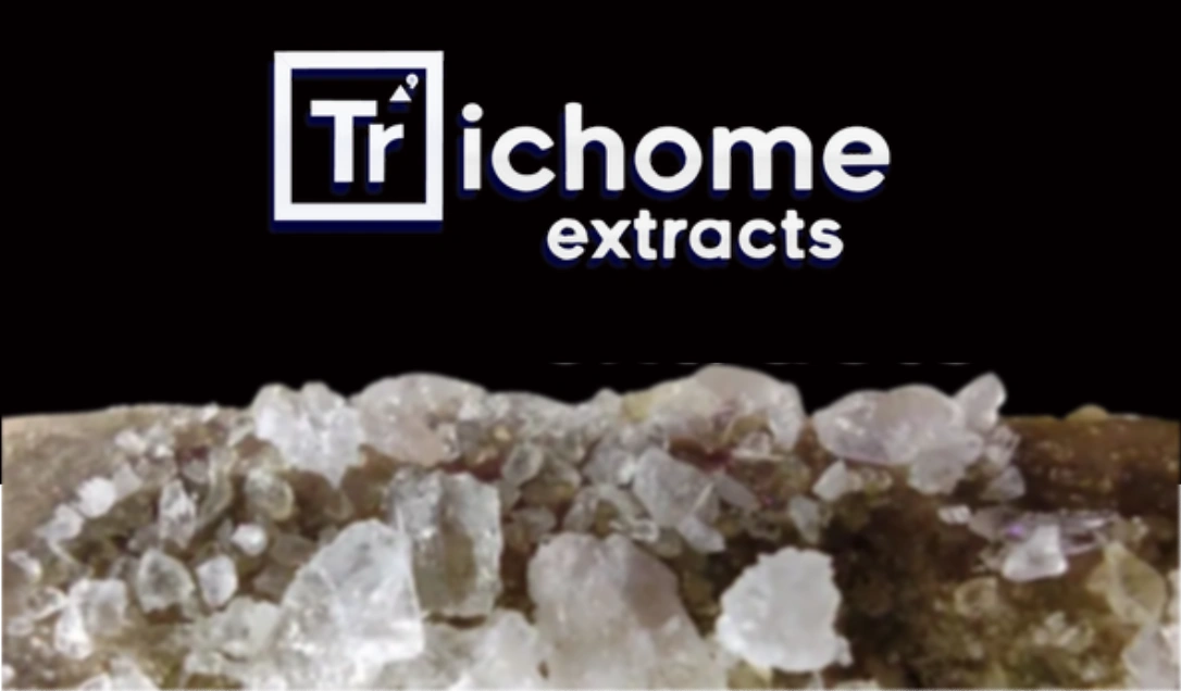 Canna Pacific | Trichome Extracts