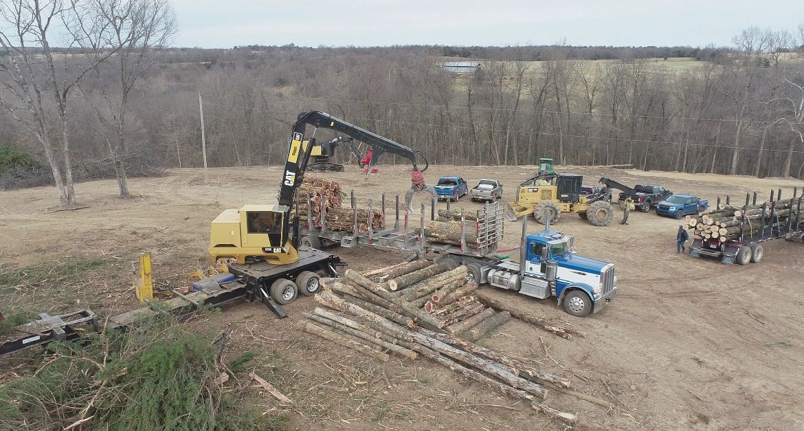 Expert Tree Logging Services in NWA | Whittmore and Son