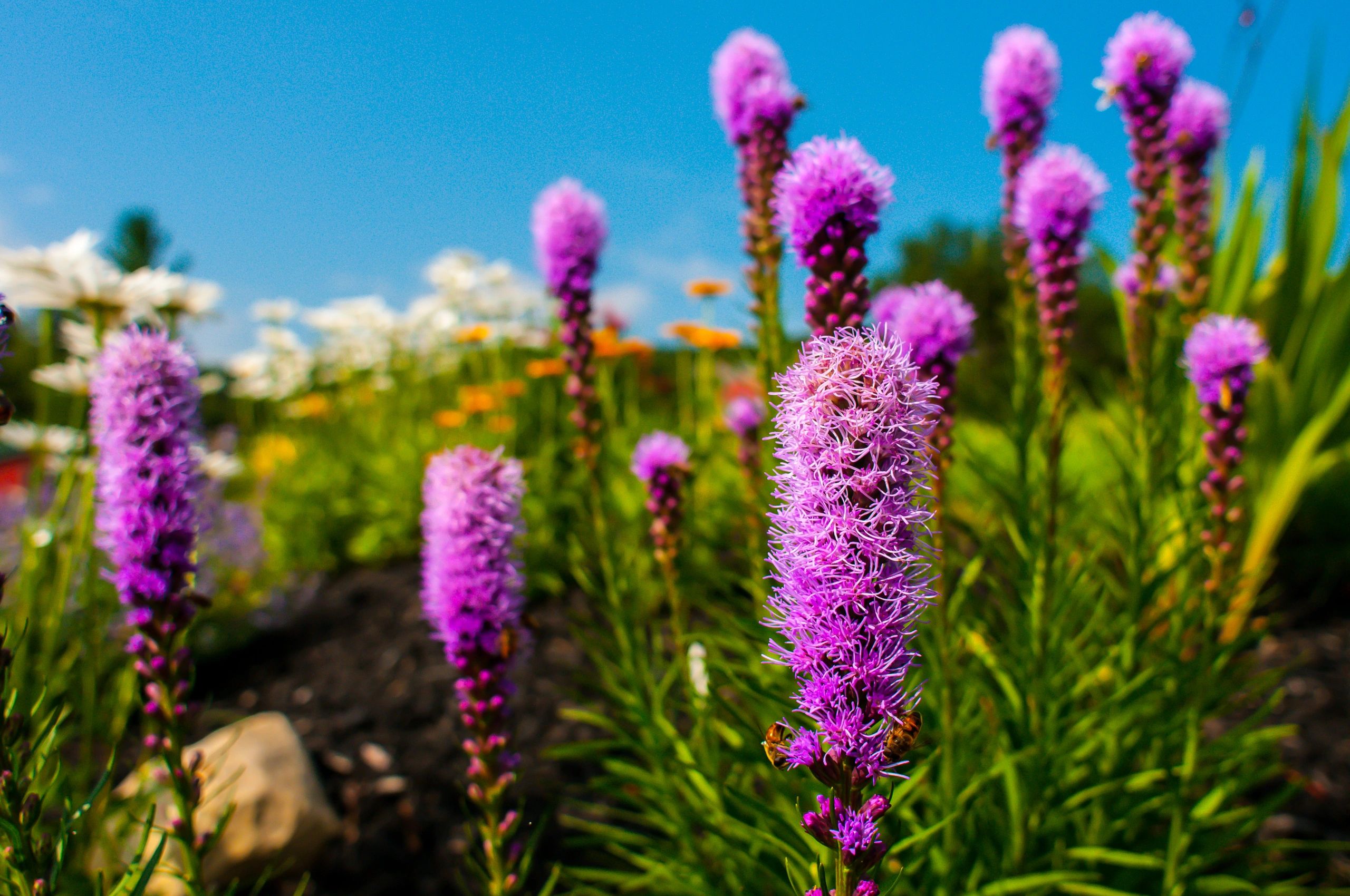 Tom Rudd Photography