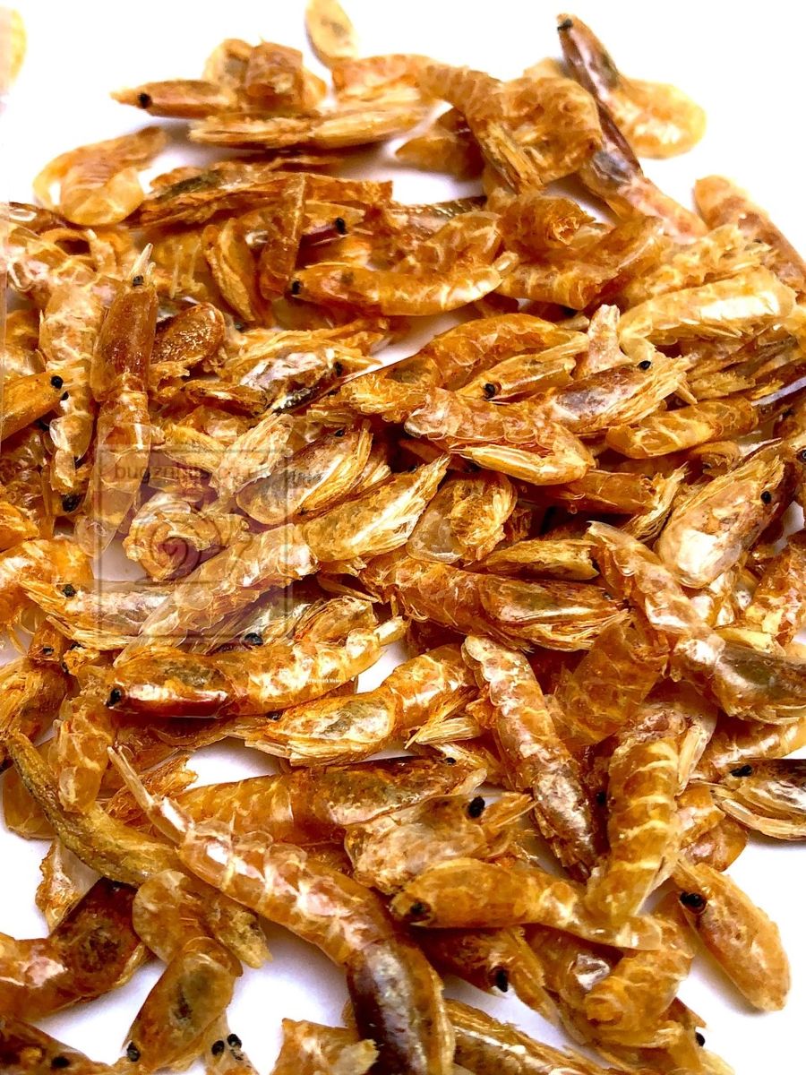 Dried Insect Protein