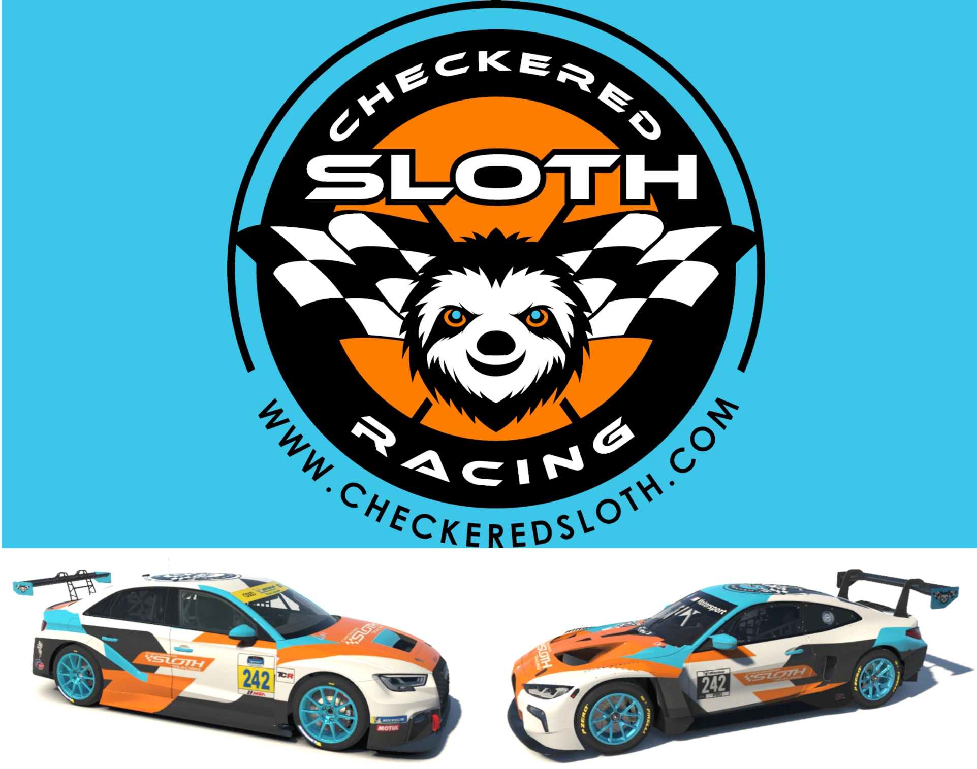 Checkered Sloth Racing