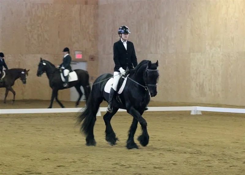 South Dakota Dressage