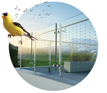 Feather Friendly Film