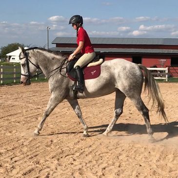 Victory Stables Equestrian - Horseback Riding, Riding Lessons | Victory ...