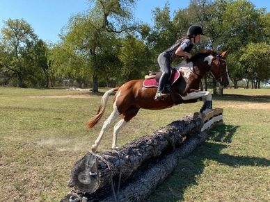 Victory Stables Equestrian - Horse Boarding - San Marcos, Texas