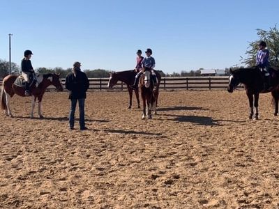 Victory Stables Equestrian - Horseback Riding, Riding Lessons