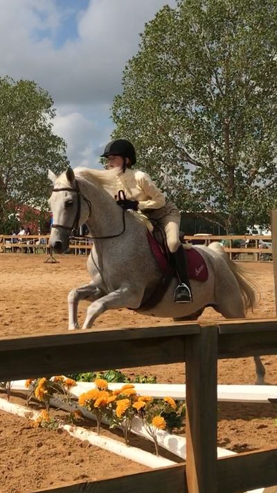 Victory Stables Equestrian - Horseback Riding, Riding Lessons | Victory ...