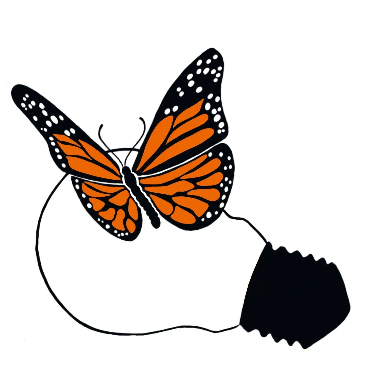 METAMORPHOSIS DESIGN AND BUILD