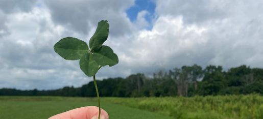 New Jersey Nut Farms