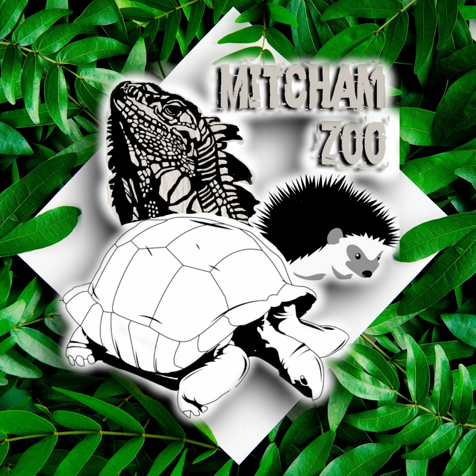 Mitcham Zoo