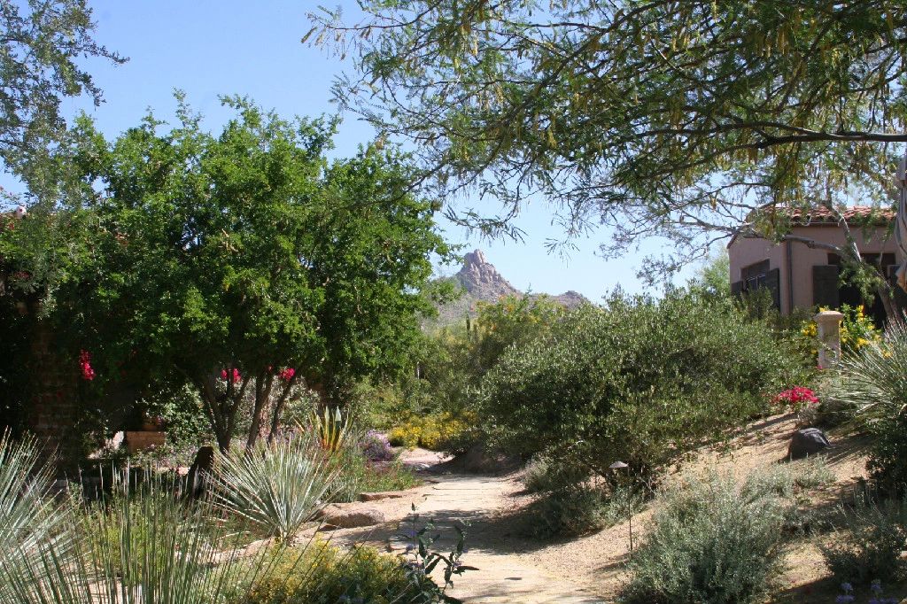 Home Page [royaltreeworks.com]