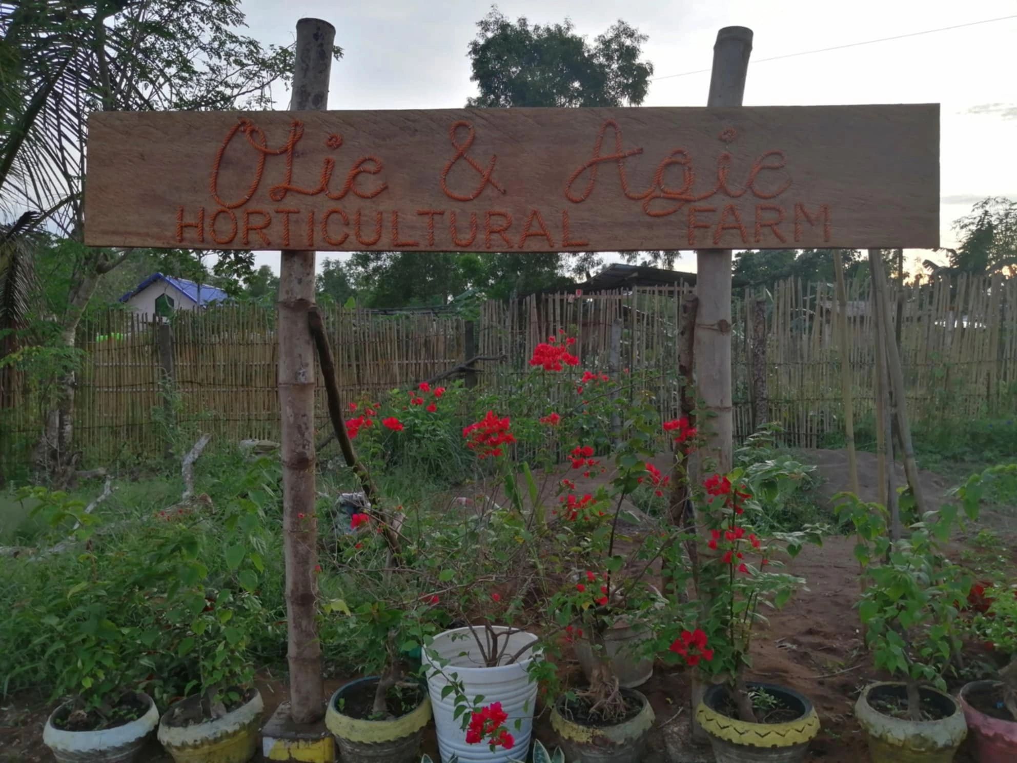 Our Product | OLIE & AGIE HORTICULTURAL FARM