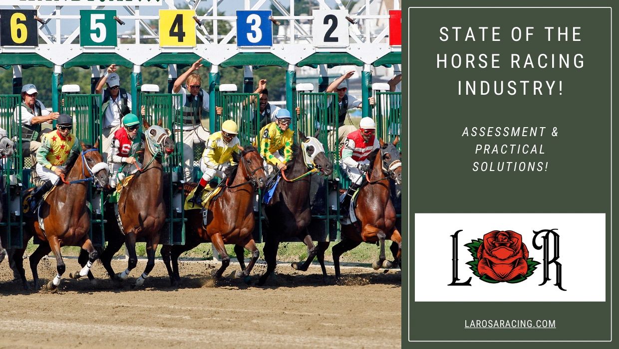 The State of Horse Racing: Assessment & Practical Solutions.