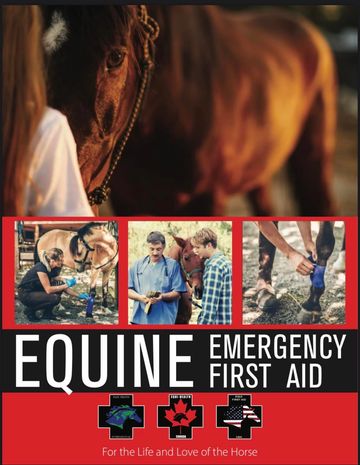 Equine First Aid Classes