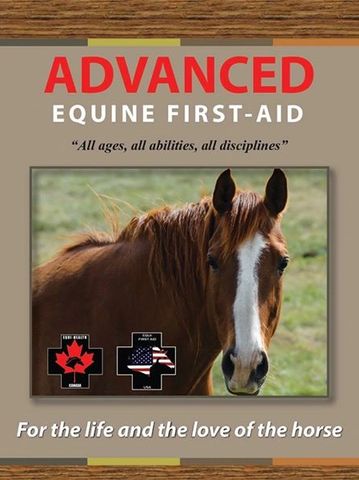 Equine First Aid Classes