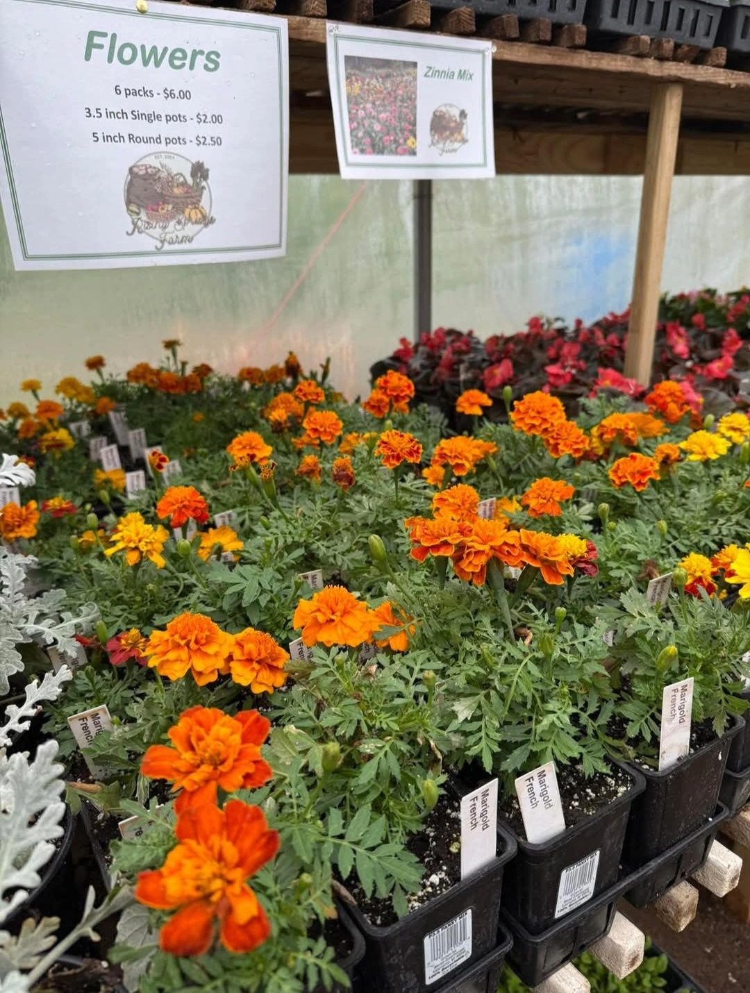 Fresh Flowers, Plant Starts, and Fresh Produce | Rising Springs Farm