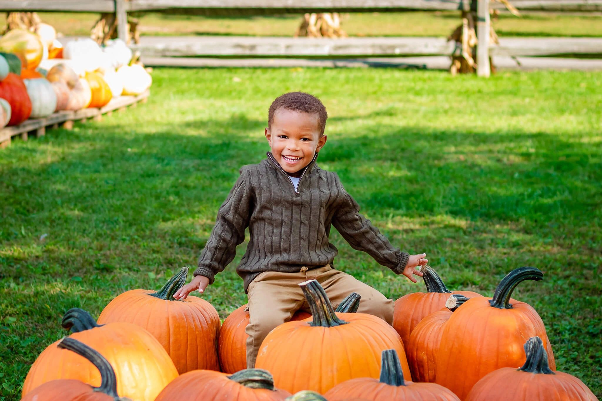 Patterson Fruit Farm: A Charming Fall Photo Spot in Cleveland