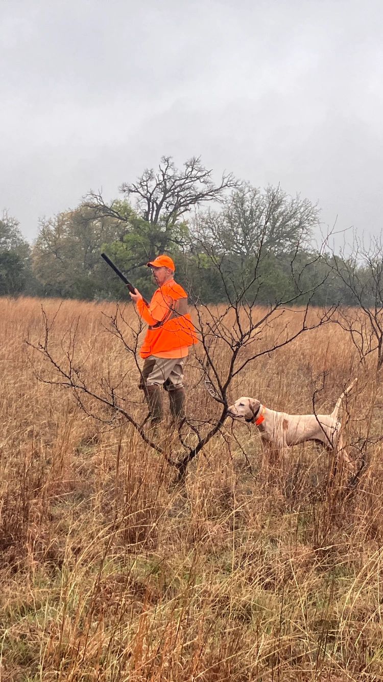 Texas Upland Game Bird Hunts