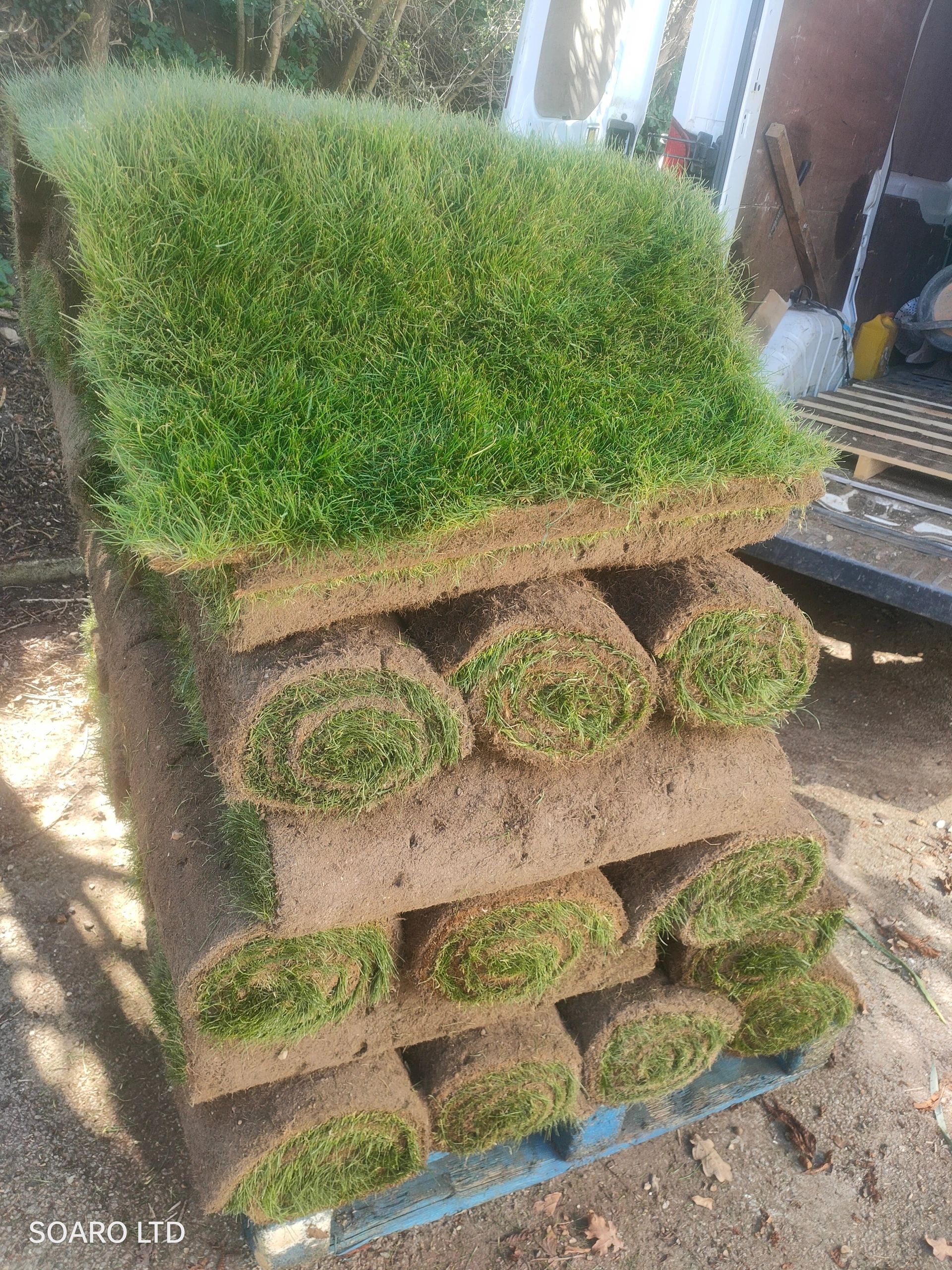 Fresh Cut to Order Turf Sod Grass Supplies Norwich