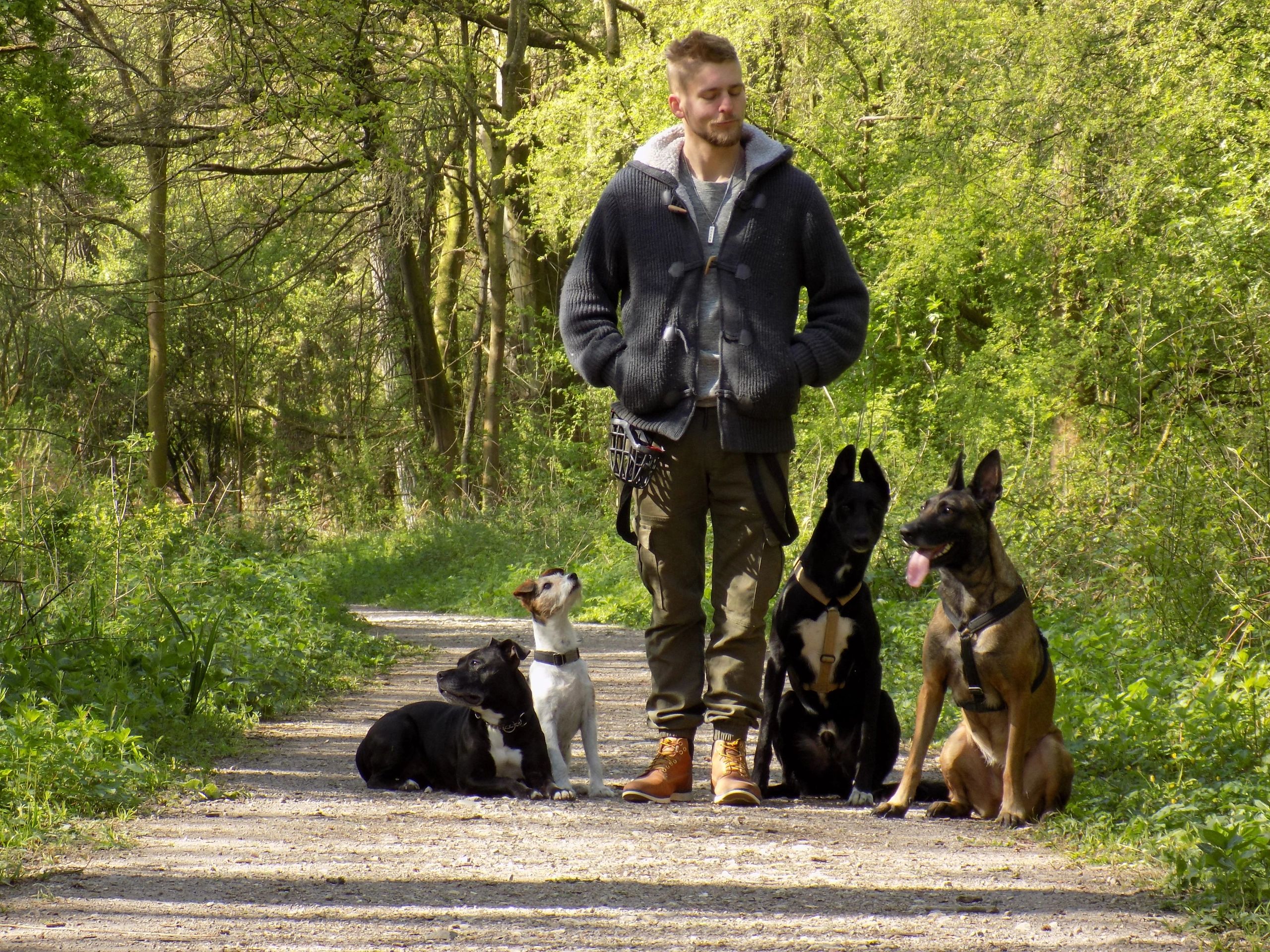 Northampton Dog Trainers