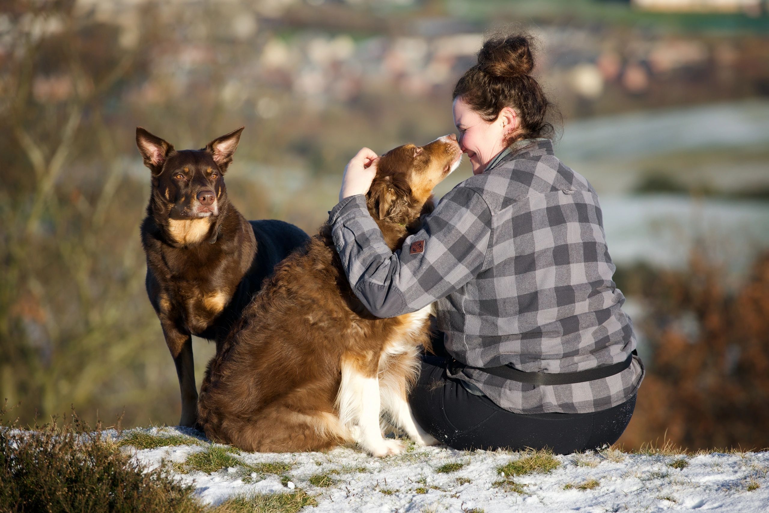 Professional Dog Walking and Pet Sitting Services | K9s & Felines Limited