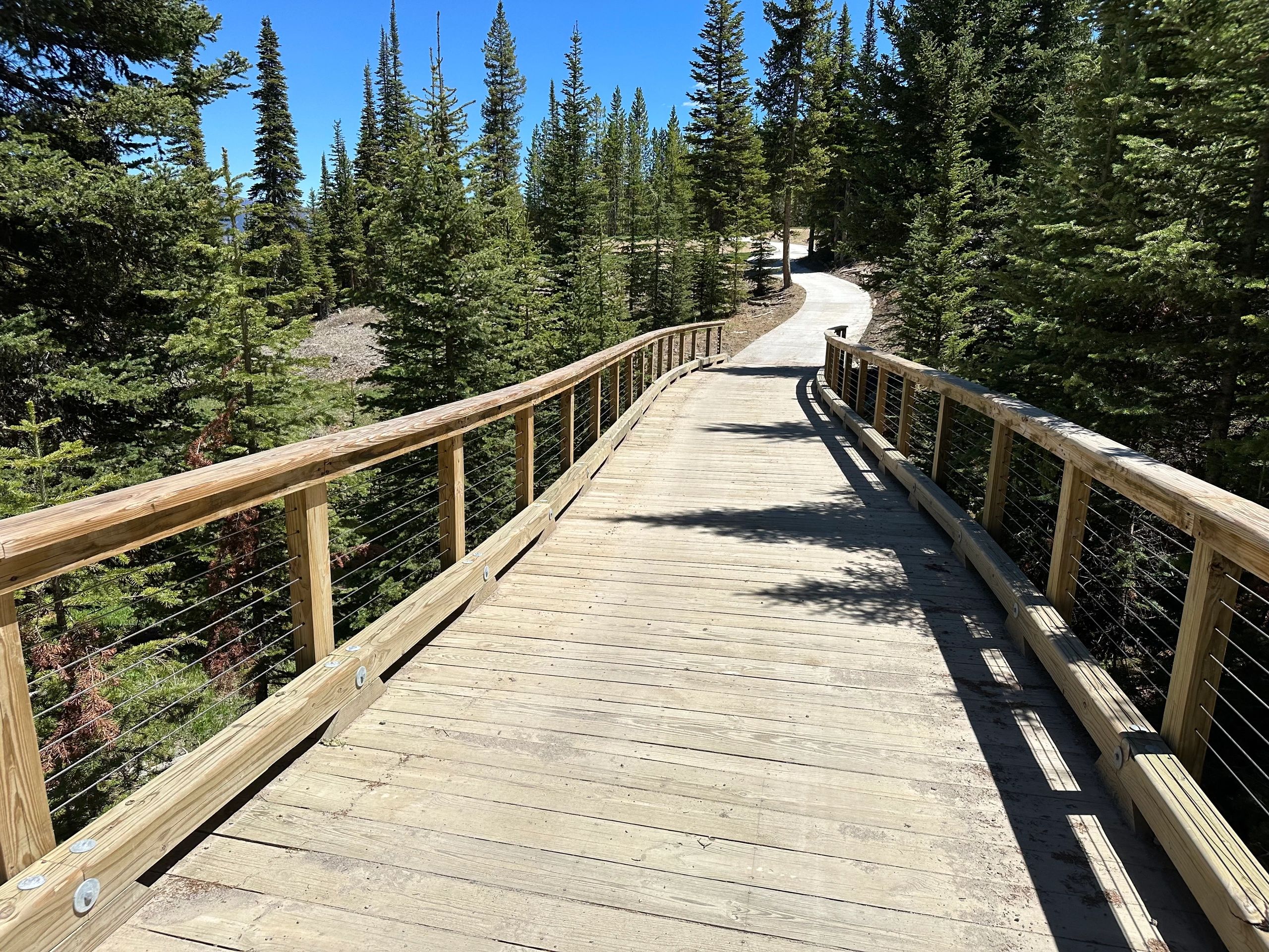 The Ultimate Step-by-Step Guide to Maintaining Your Timber Bridge