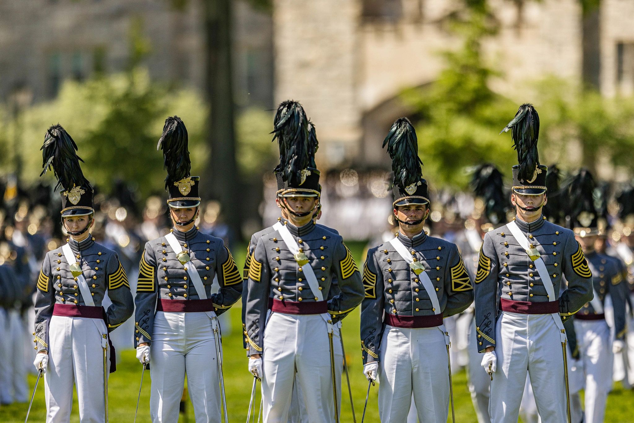 Buff Card for 2024-2025