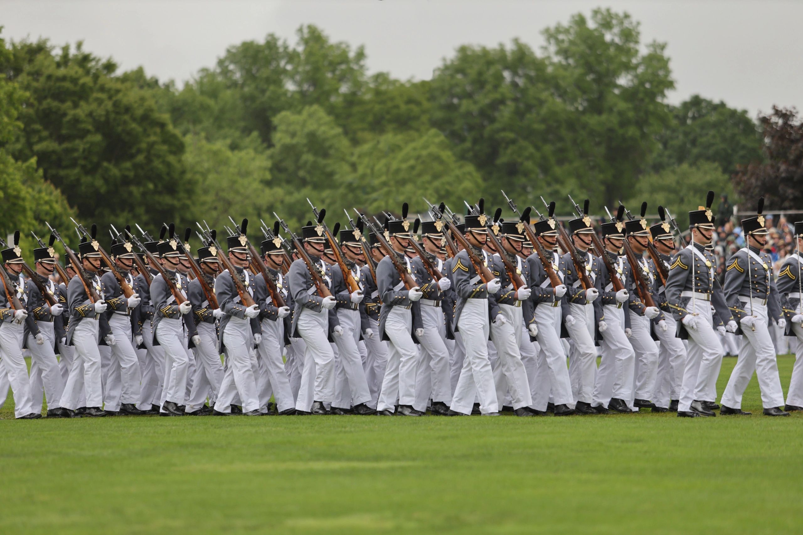 Buff Card for 2025-2026