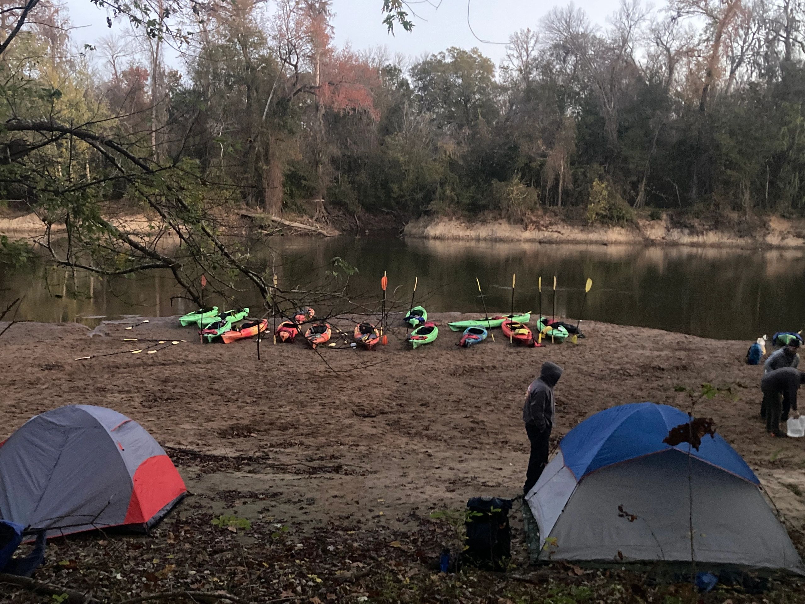 New Scouts | BSA Troop 245