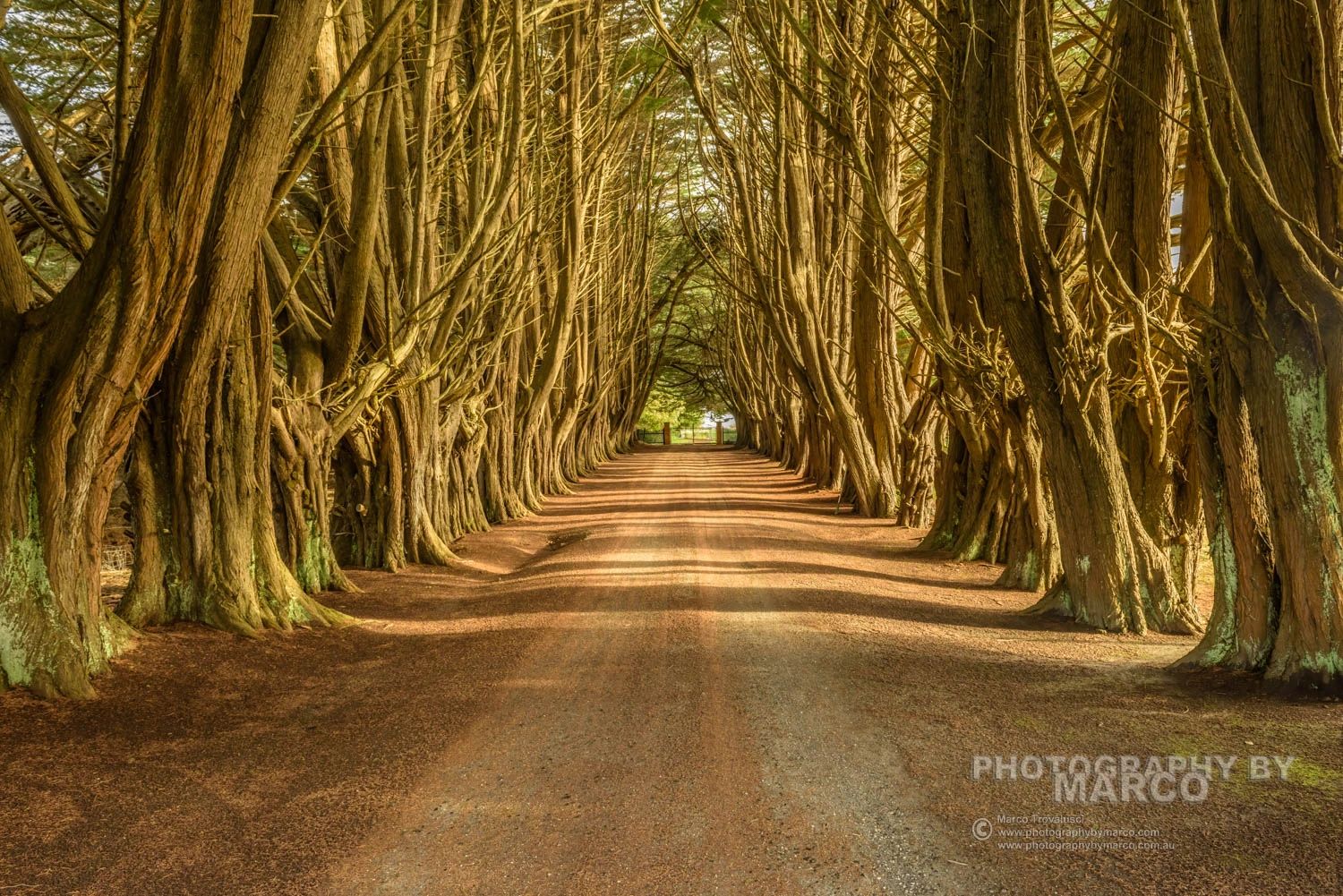 Photography By Marco