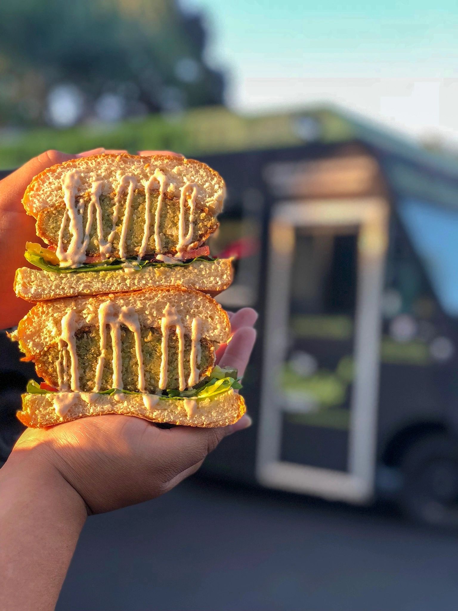 The Falafel Factory - Mediterranean Food Truck, Falafel