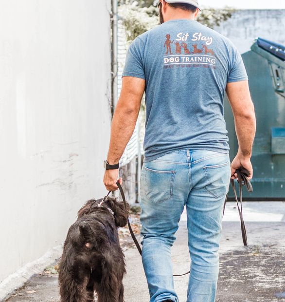 Dog Training | Sit Stay Dog Training LLC