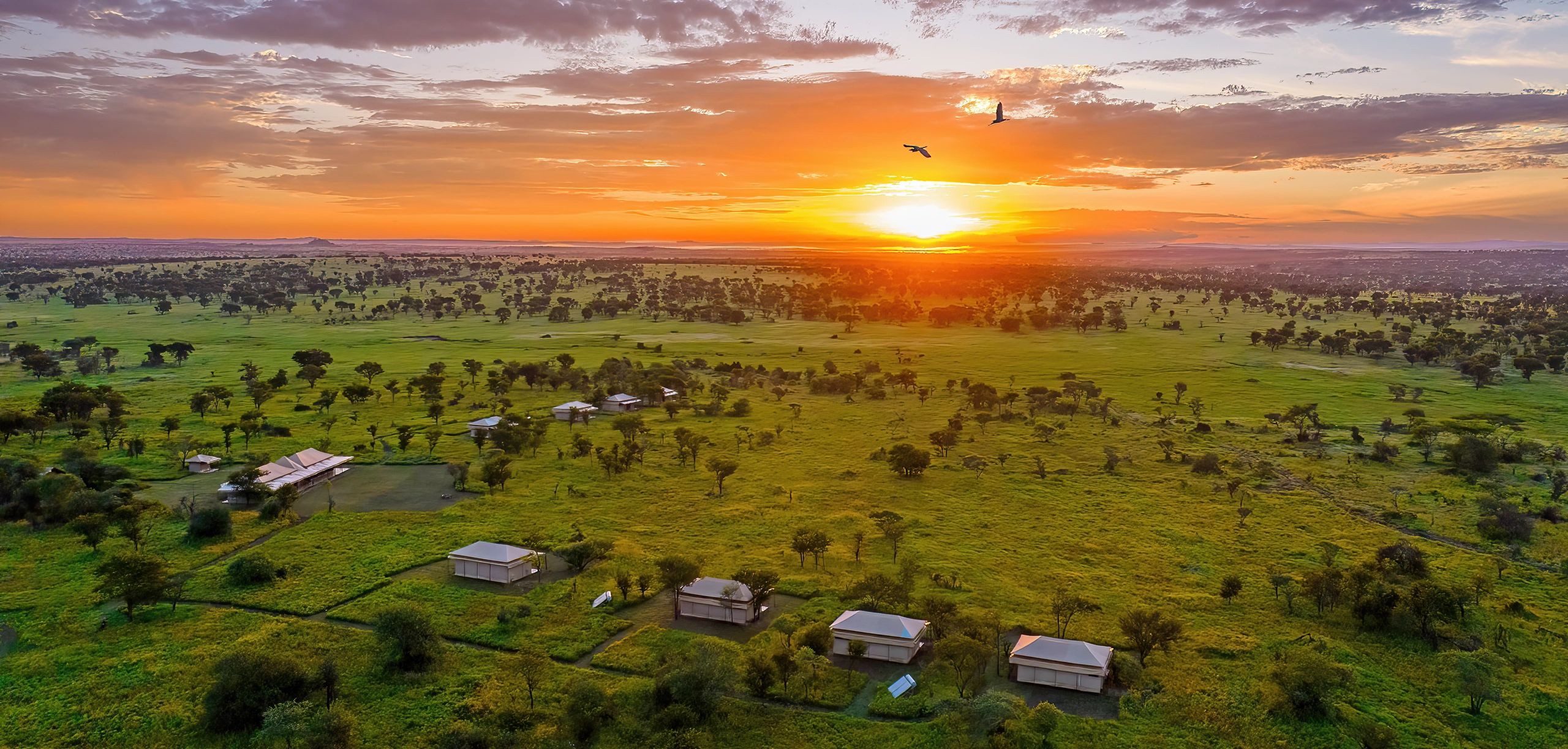 Welcome to Elwai Camp